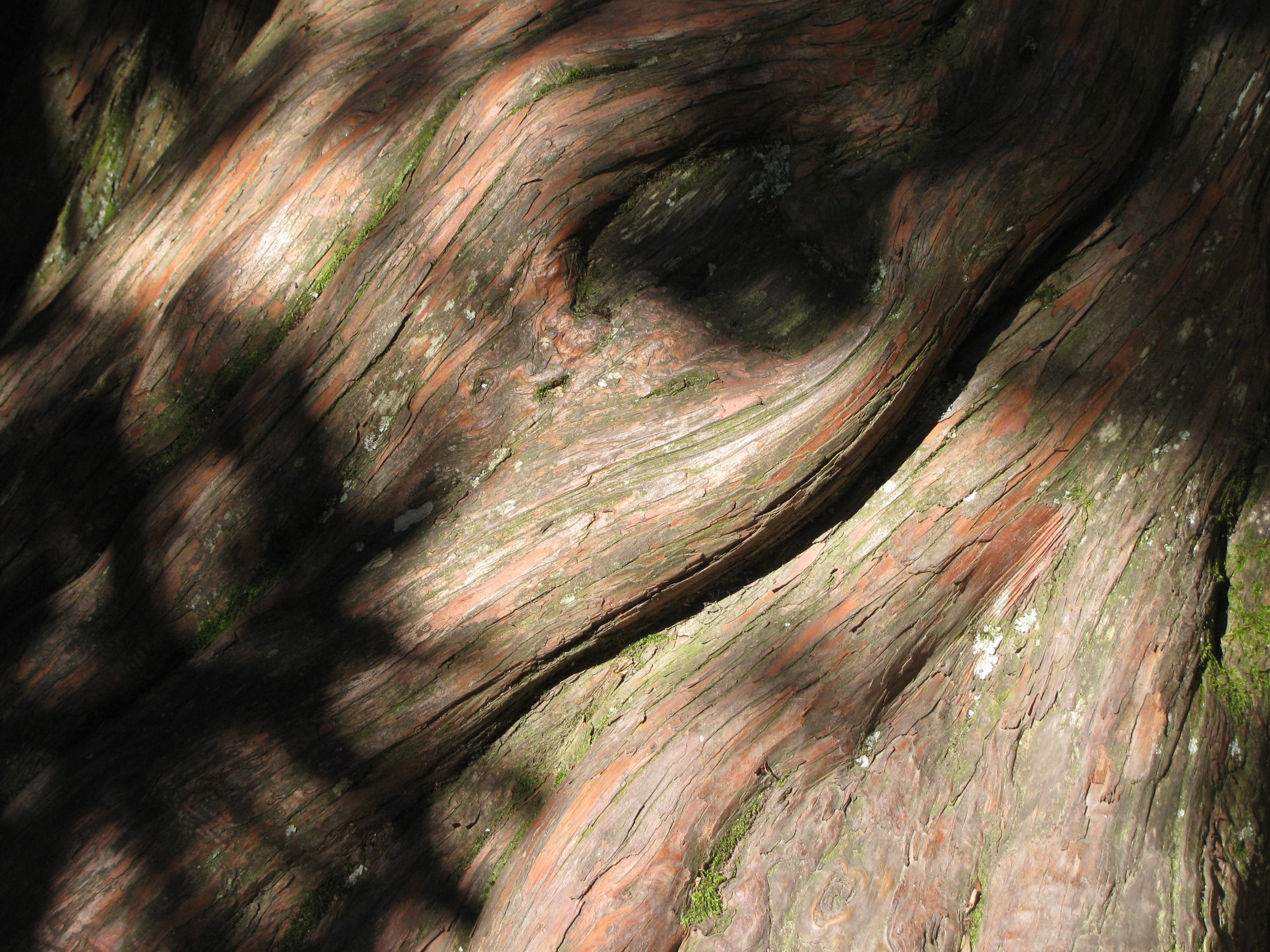 Mount Peel Scenes – New Zealand Family History Search