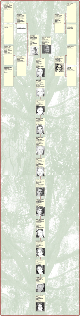 Haig-Kerr family tree – New Zealand Family History Search